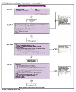 The purpose of these guidelines (2) are to provide a protocol to help ...