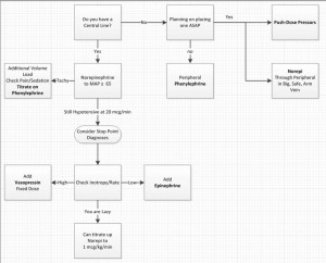 Perhaps the most important boxes in this flow chart is for me is: