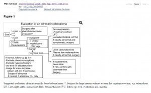 All that follows is from Reference 1: