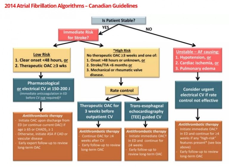 Two Charts from Case 57 show notes: