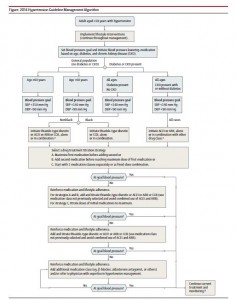 The slide below is the 2014 Hypertension Guideline Algorithm. Be sure ...