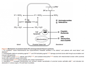 ← The new GOLDMARK Mnemonic For Anion Gap Metabolic Acidosis From ...