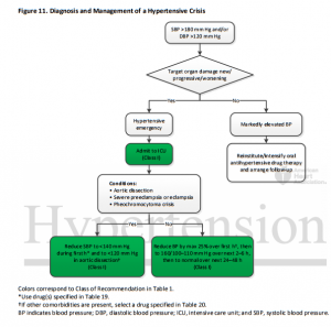 The following are extracts from the executive summary of the 2017 ...