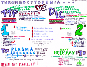 And here is the awesome chart from the shownotes that summarizes ...