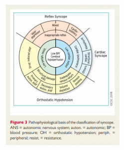 The following are some excerpts from Resource (1):