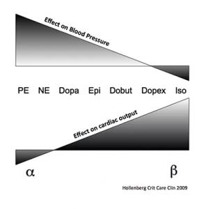 Variable end-organ sensitivity