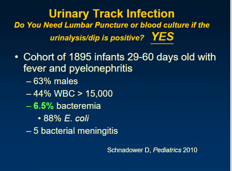 Slide 16: