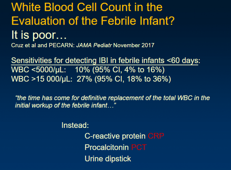 Slide 17: