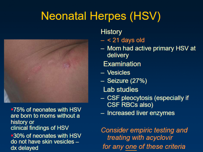 Slide 6: