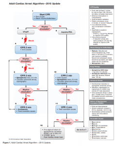 Posted on December 9, 2018 by admin