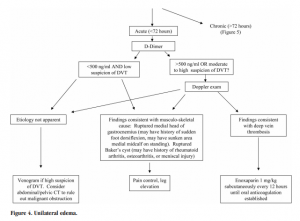 Algorithms For The Evaluation Of Leg Edema
