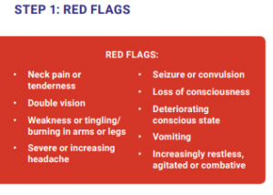 WHAT IS THE CHILD SCAT5?