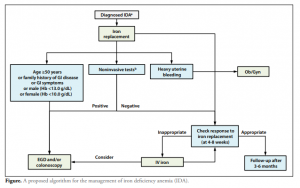 A proposed algorithm for the management of iron deficiency anemia (IDA).