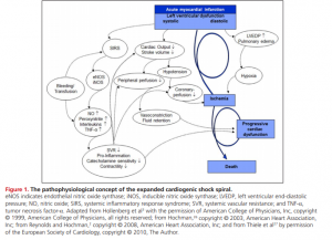 Hemodynamic Phenotypes
