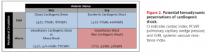 [But the above is not the only type of cardiogenic shock.]
