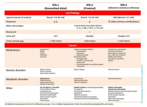(5) investigation of type IV RTA