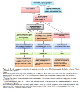 The Guidelines are subsequently divided into three sections: