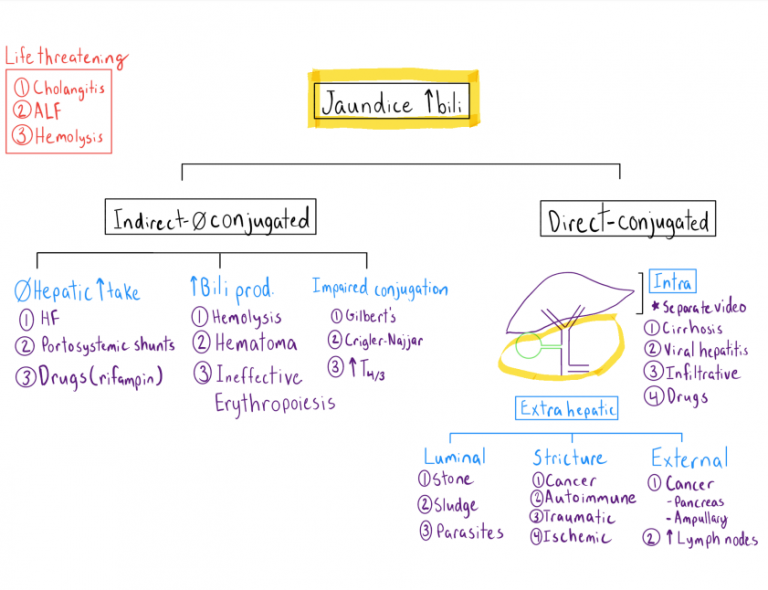 Here is the diagnostic schema: