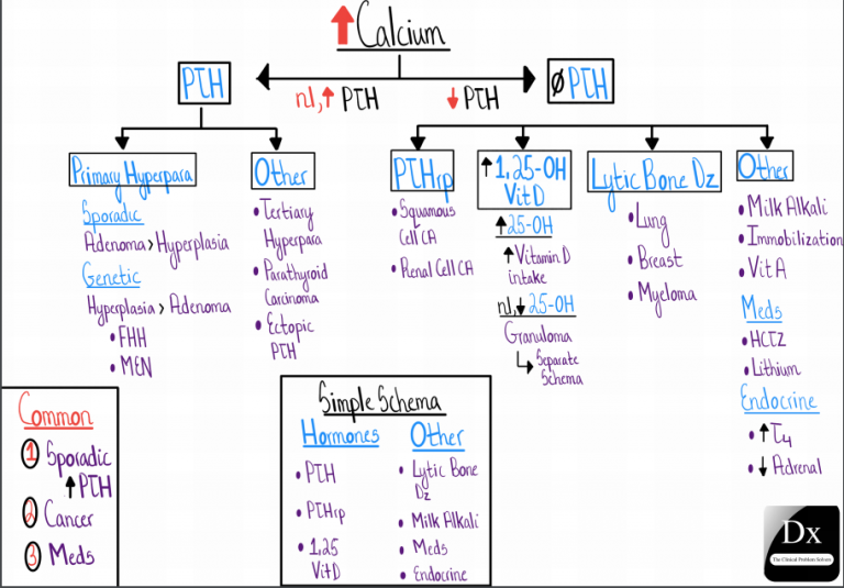 Show Notes For Episodes 7 & 8