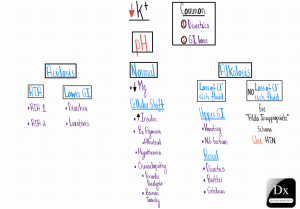 Here is the Diagnostic Schema for Hypokalemia [Link is to the PDF]: