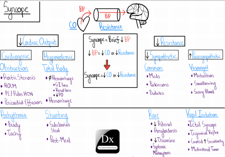 Show Notes For Episode 12