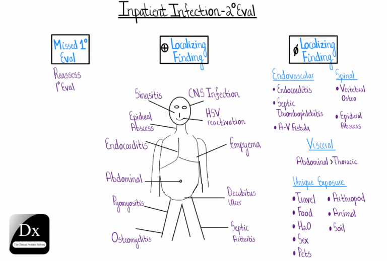 And after the diagnostic schemas, I have placed a copy of the show ...