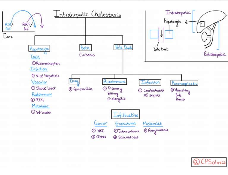 ← Splenomegaly – Diagnostic Schema From The Clinical Problem Solvers