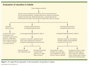 Here is the diagnostic schema: