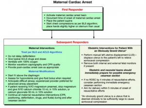 Procedural video on perimortem c-section