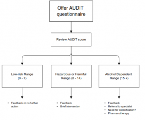 The AUDIT Decision Tree: from screening, scoring and assessment, to ...