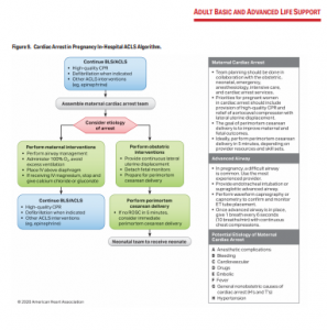 Major New and Updated Recommendations