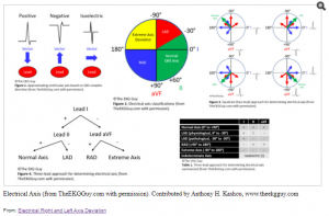 Clinical Significance