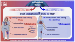 All that follows is from the episode show notes