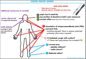 coma neuro exam