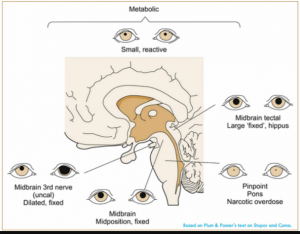 For the complete and detailed explanation of all of that follows ...