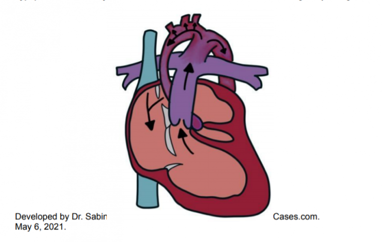 The figure below is Figure 3 and is referenced and discussed on pp. 6 ...