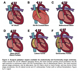 The figure below is Figure 3 and is referenced and discussed on pp. 6 ...