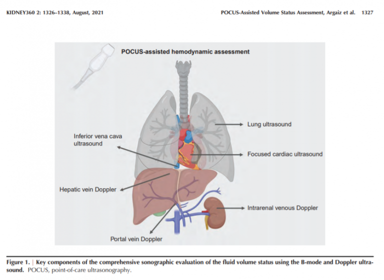 Lung Ultrasound