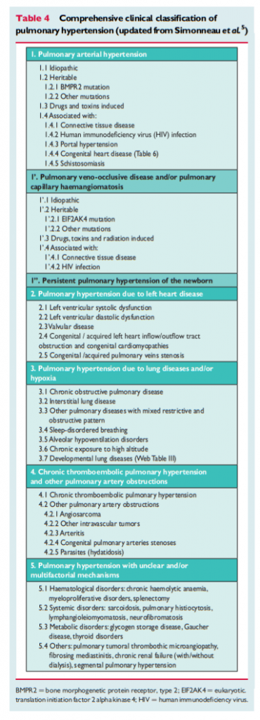 The term PAH describes a group of PH patients characterized