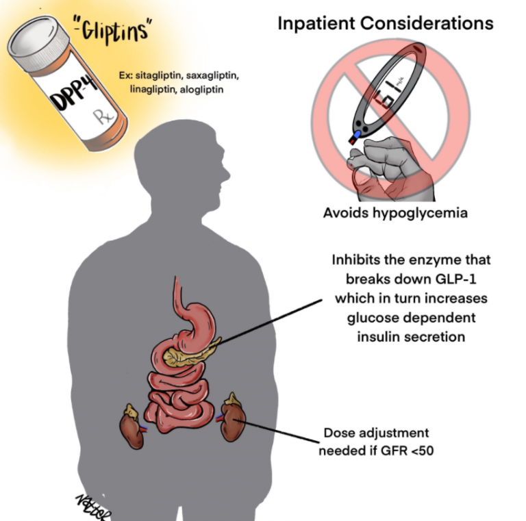 All that follows is from the above resource.