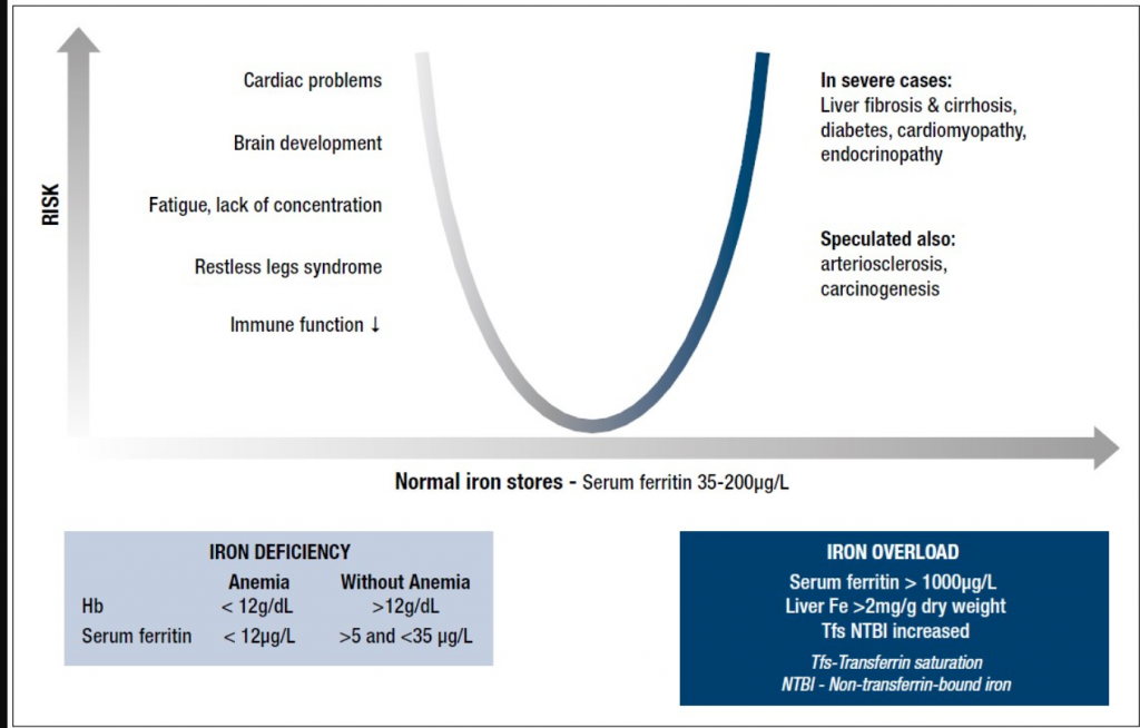 CONCLUSIONS AND PERSPECTIVES