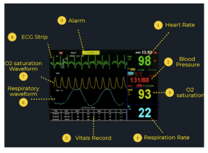 What the Numbers Mean: