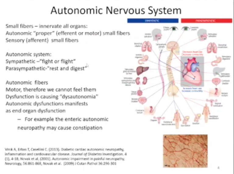 All that follows are the slides from Dr. Novack’s lecture.