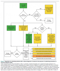 Recommendation-Specific Supportive Text