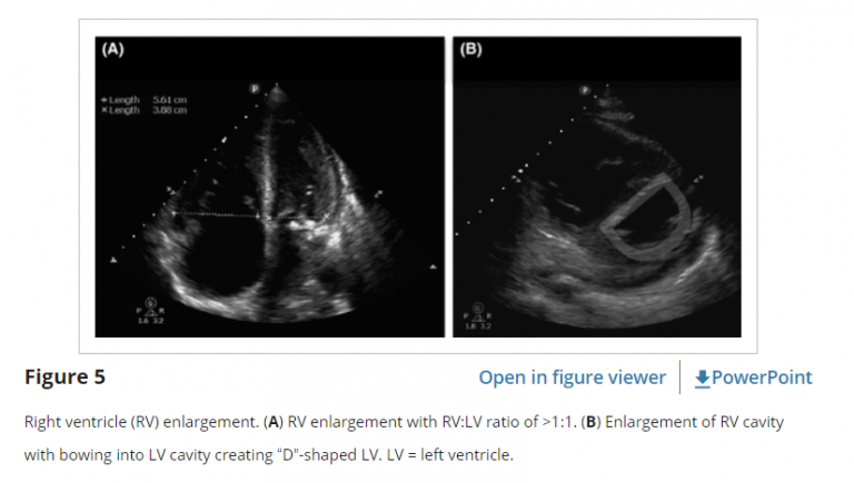 Techniques for Assessing Equality