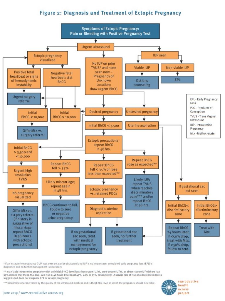 ← A Brief Look At Another Telemedicine Company