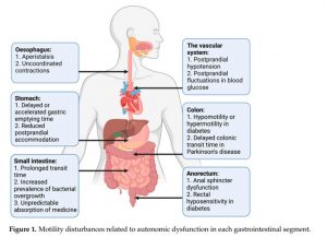 3. Established Methods for Assessment of Gastroenteropathy