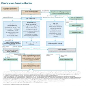 upper tract urothelial carcinoma