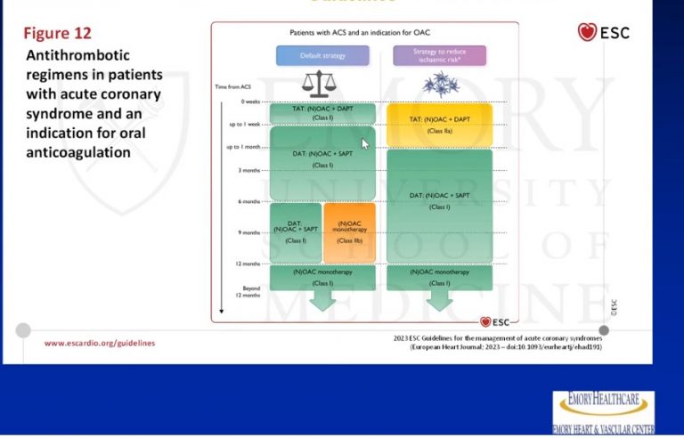 24:52, 25:39, 27:18, 29:33, 32:13, 32:45, 33:22, 33:58, 35:44, 37:19 ...