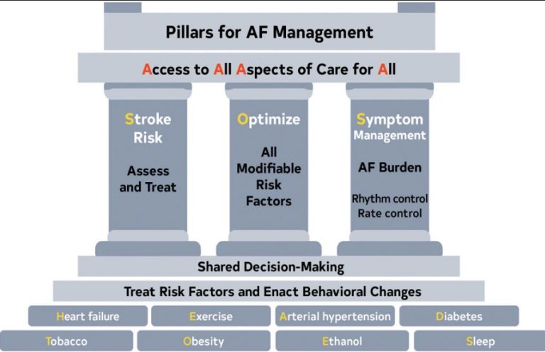 Figure 5. Pillars for AF Management. AF indicates atrial fibrillation.